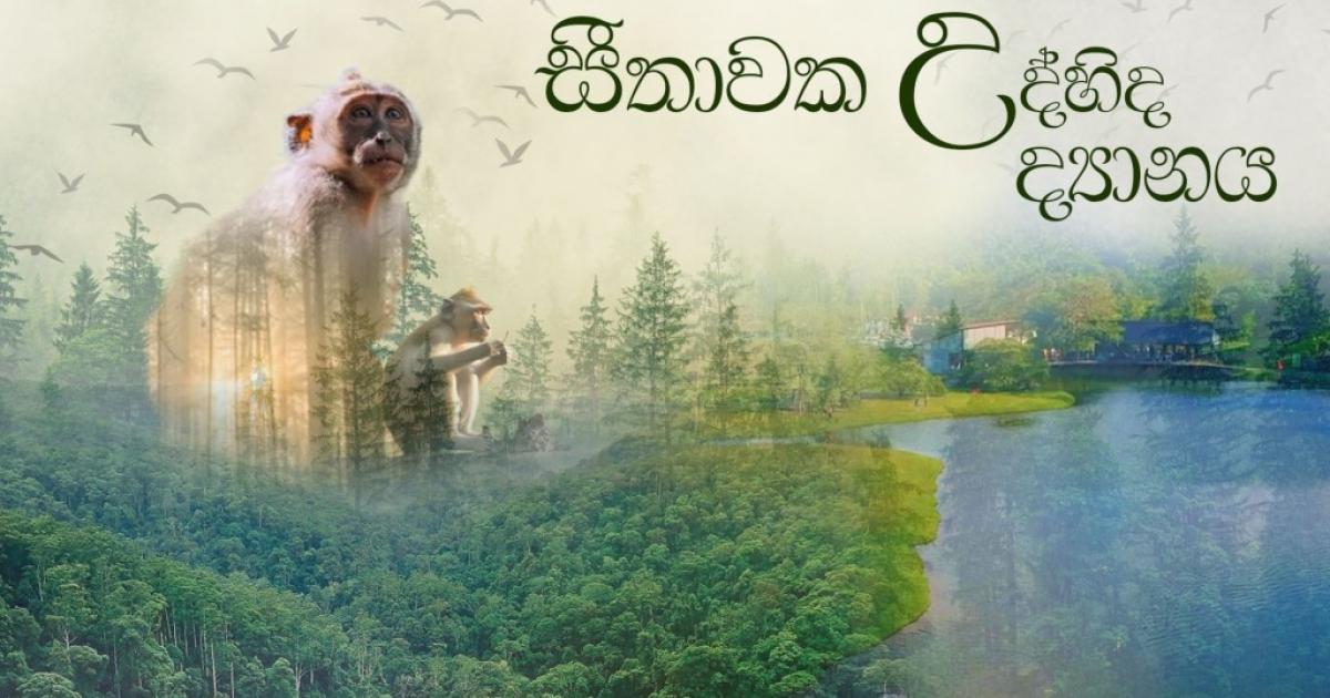 මිහිතලයට මොහොතක් - සීතාවක උද්හිද උද්‍යානය | RVA