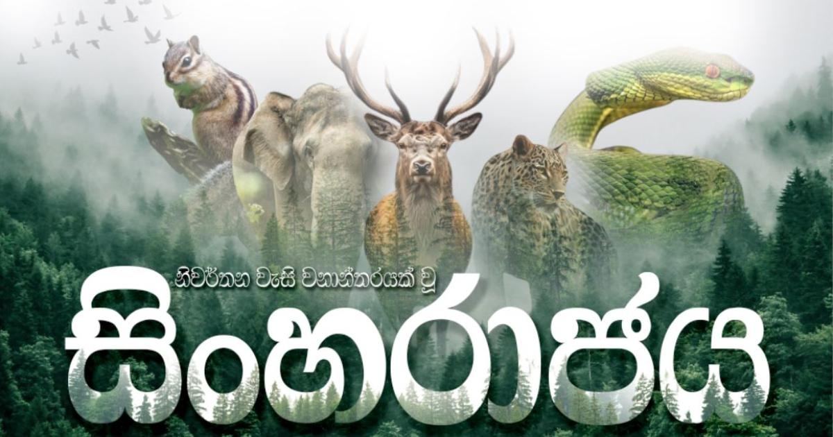 මිහිතලයට මොහොතක් - සිංහරාජ වනාන්තරය ( Sinharaja Forest ) | RVA