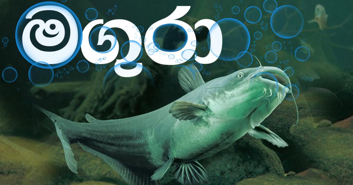 මිහිතලයට මොහොතක් - මගුරා | RVA